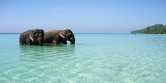Eco-Explorer: India's Andaman Islands
